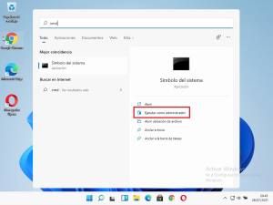 Cómo limpiar las DNS en Windows 11