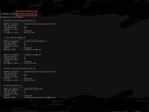 Cómo limpiar las DNS en Windows 11